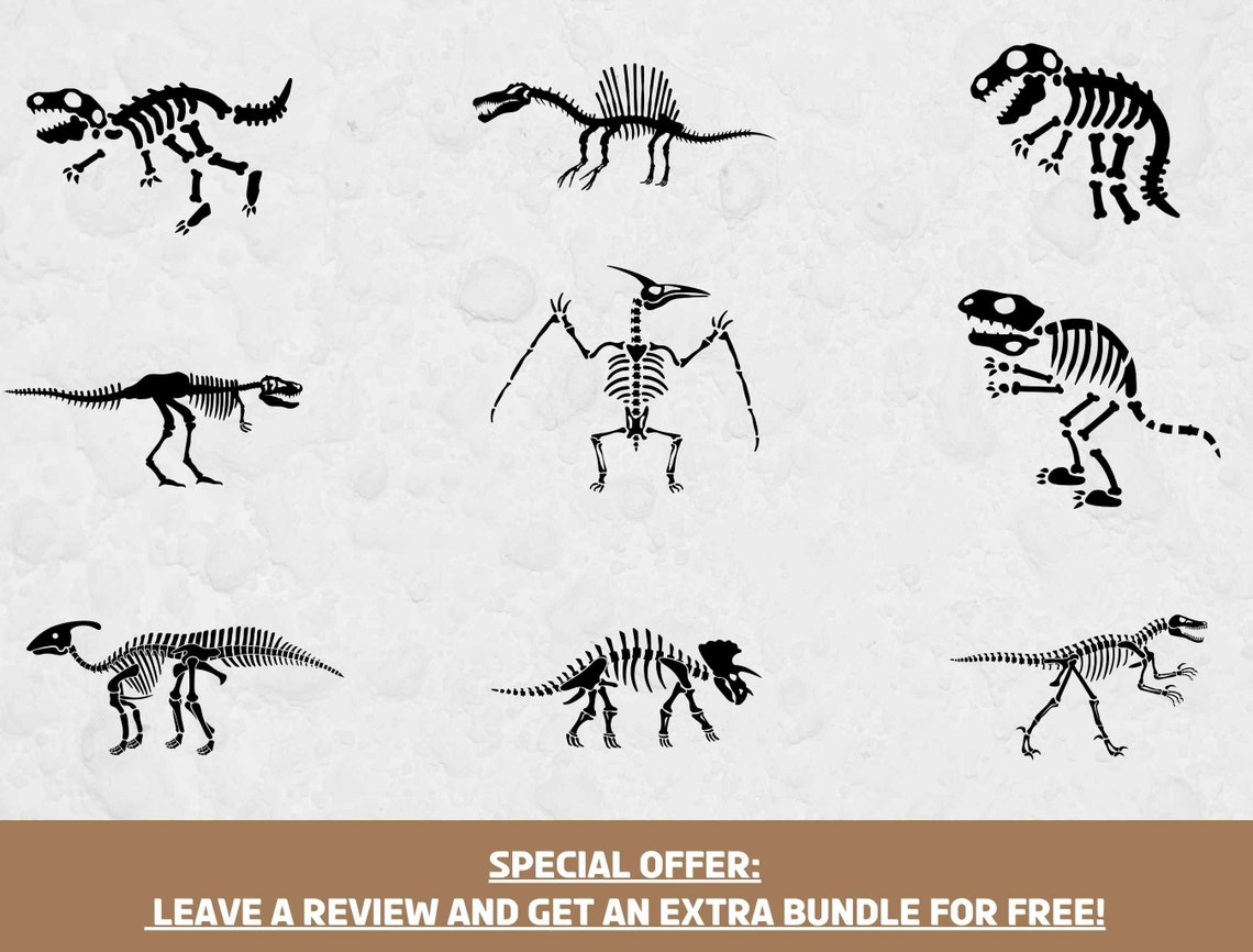 Dinosaur Skeleton SVG Bundle, 9 Fossil Designs, Prehistoric Bones ...