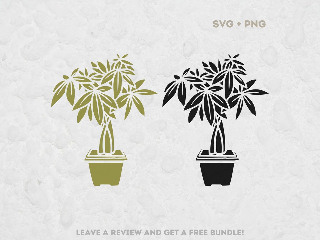 Money Tree SVG, Svg File for Cricut, Plant Cut File, Houseplant Svg ...