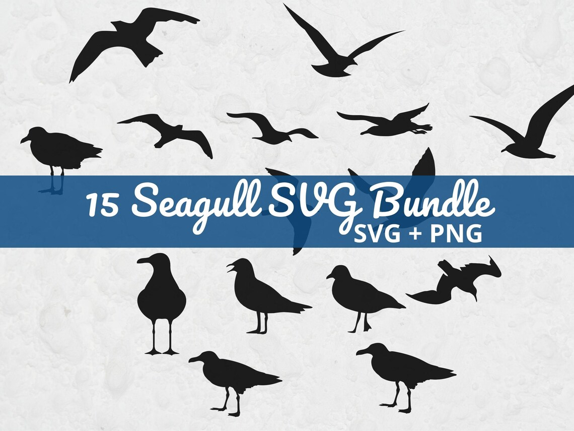 Seagull SVG Bundle, Seagull Silhouette SVG, Coastal Bird Clipart ...