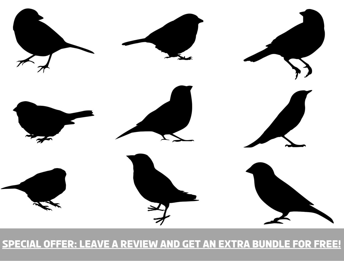 Spatz SVG Bundle SVG-Dateien für Cricut Vogel SVG Vogel - Etsy Schweiz