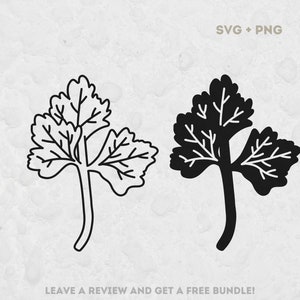 Parsley SVG File, SVG Files for Cricut, Plant Svg, Herb SVG, Parsley ...