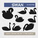 Swan Svg Bundle SVG Files for Cricut Bird Clipart Bird - Etsy