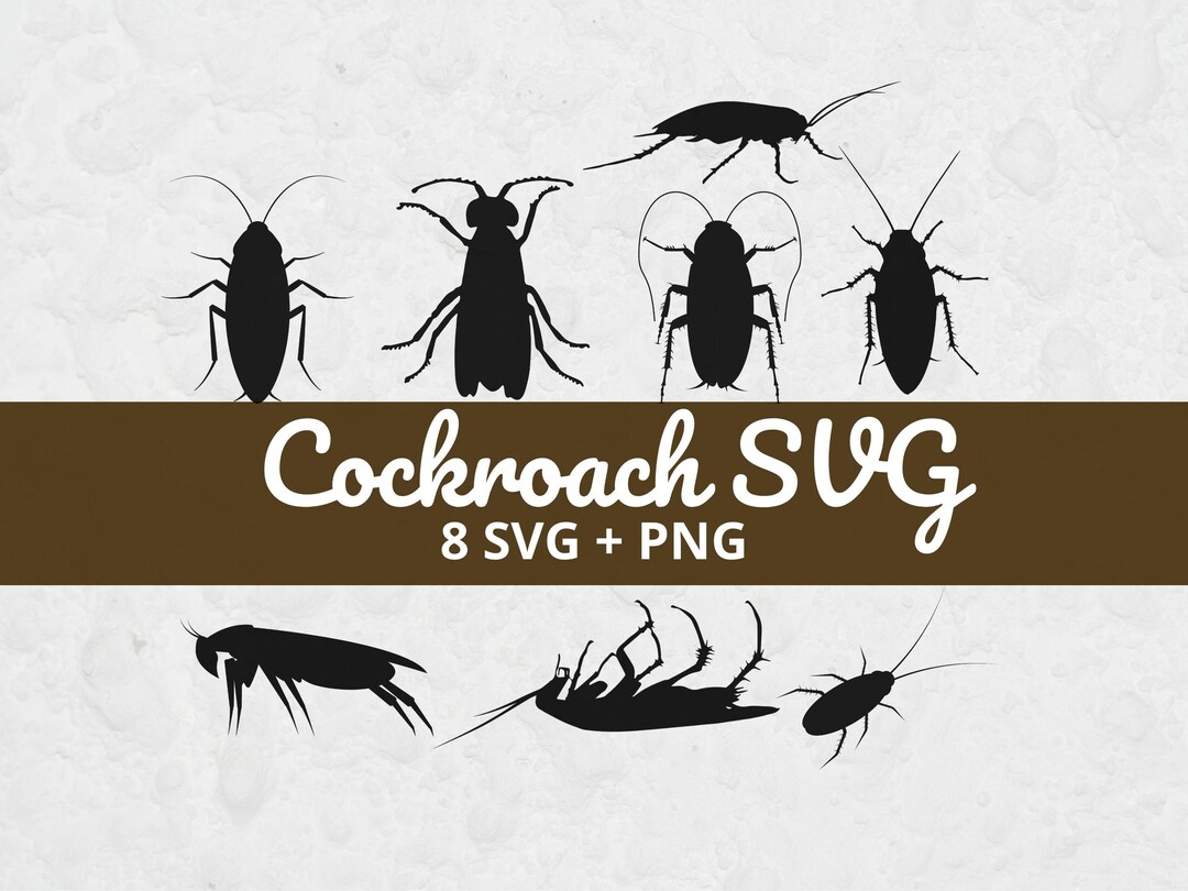 Cockroach Svg, Svg Files for Cricut, Insect Svg, Roach Svg, Silhouette ...