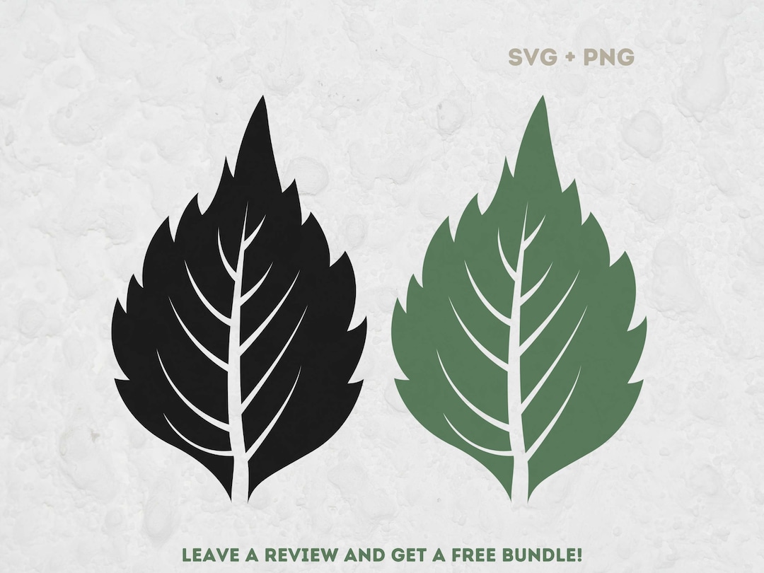 Birch Leaf SVG, SVG Files for Cricut, Plant Svg, Tree SVG, Birch Svg ...