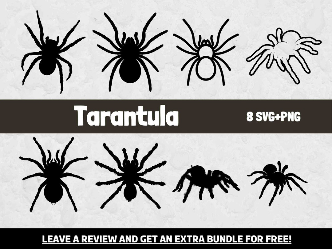 Tarantula SVG, Svg Files for Cricut, Spider Svg, Spider Clipart, Spider ...