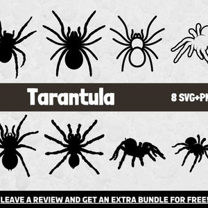 Tarantula SVG, Svg Files for Cricut, Spider Svg, Spider Clipart, Spider ...