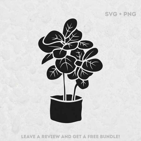 Fiddle Leaf Fig Tree - Etsy