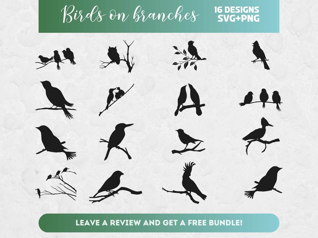 Birds Svg, Svg Files for Cricut, Birds on Branches SVG Bundle, Bird ...