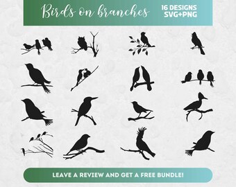 Cute Birds Svg, Birds Svg, Birds Png, Birds Clipart, Hummingbird Svg ...