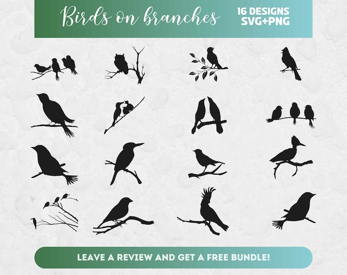 Aves SVG, Archivos SVG para Cricut, Aves en ramas SVG Bundle, Imágenes ...