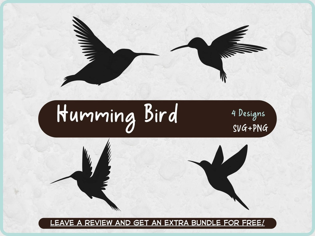 Hummingbird Svg Bundle, Svg Files for Cricut, Tropical Bird Svg ...