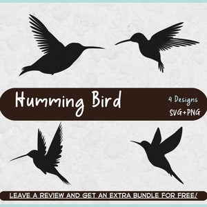 Hummingbird Svg Bundle, Svg Files for Cricut, Tropical Bird Svg ...