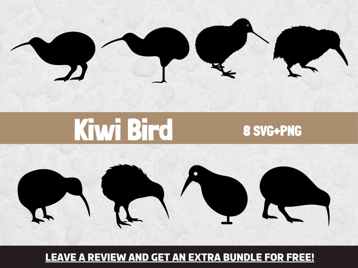 Kiwi Bird Svg Bundle, Svg Files for Cricut, Tropical Bird Svg, Bird ...
