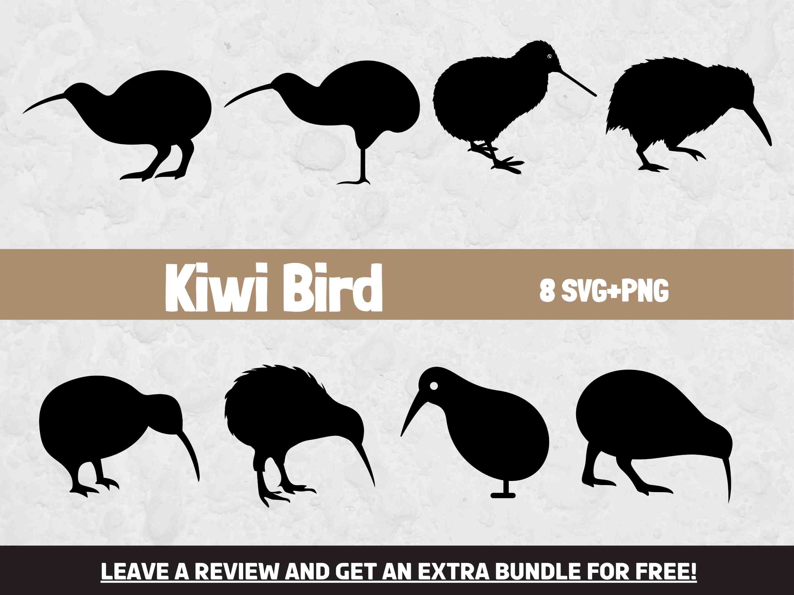 Kiwi Bird Svg Bundle Svg Files for Cricut Tropical Bird Svg - Etsy