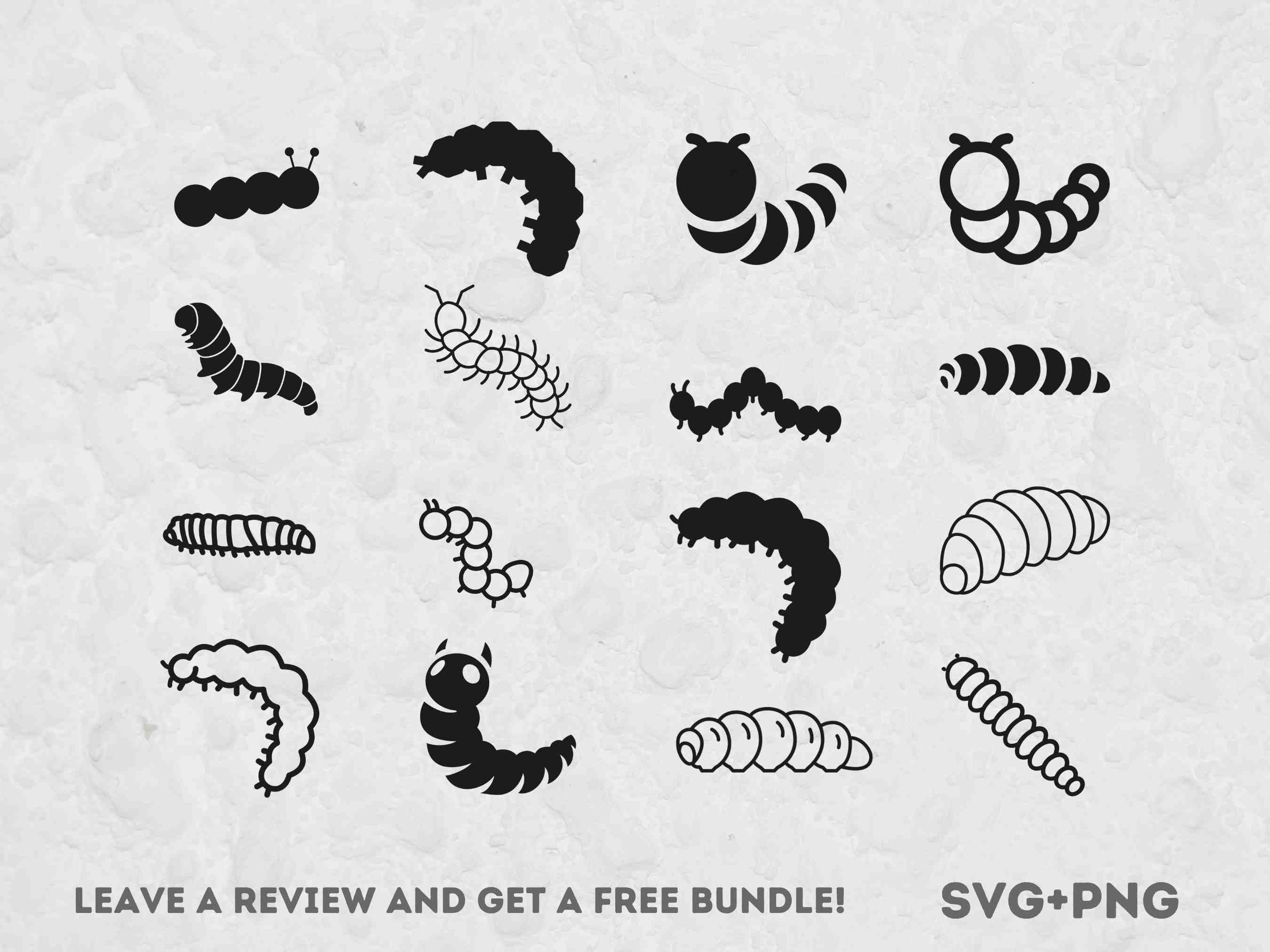 Caterpillar Svg Archivos Svg para Cricut Insecto Svg - Etsy México
