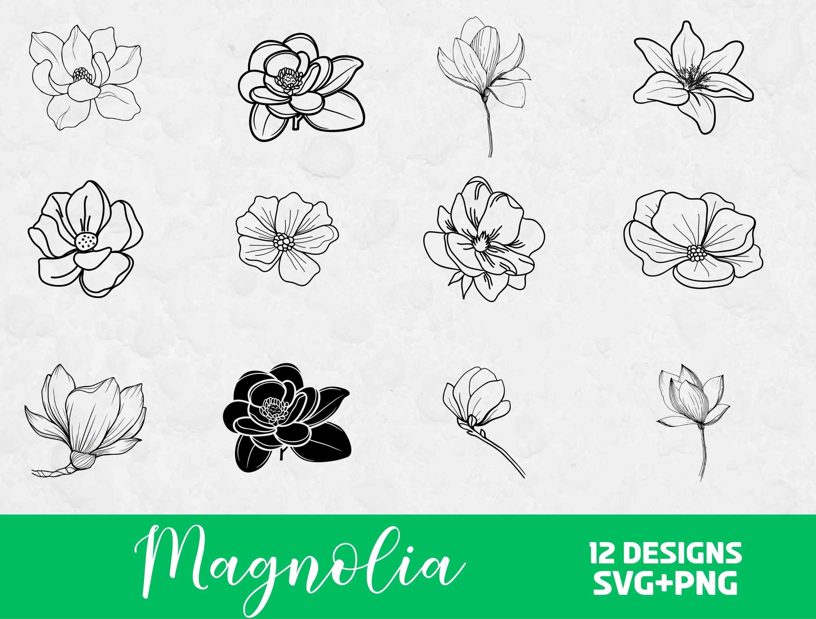 Magnolia SVG SVG Files for Cricut Flower Clipart Flowers - Etsy