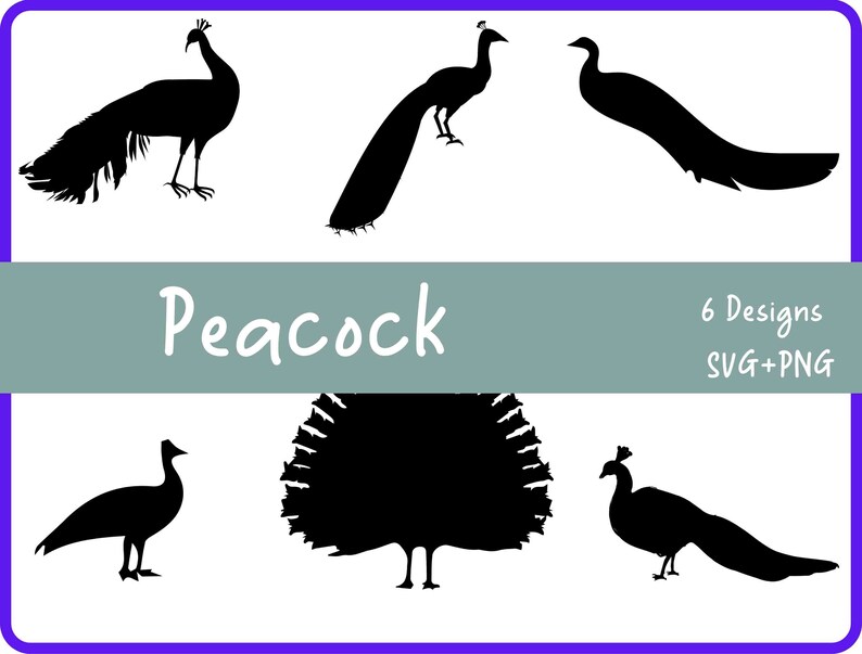 Peacock Svg Bundle Svg Files for Cricut Forest Svg Bird - Etsy