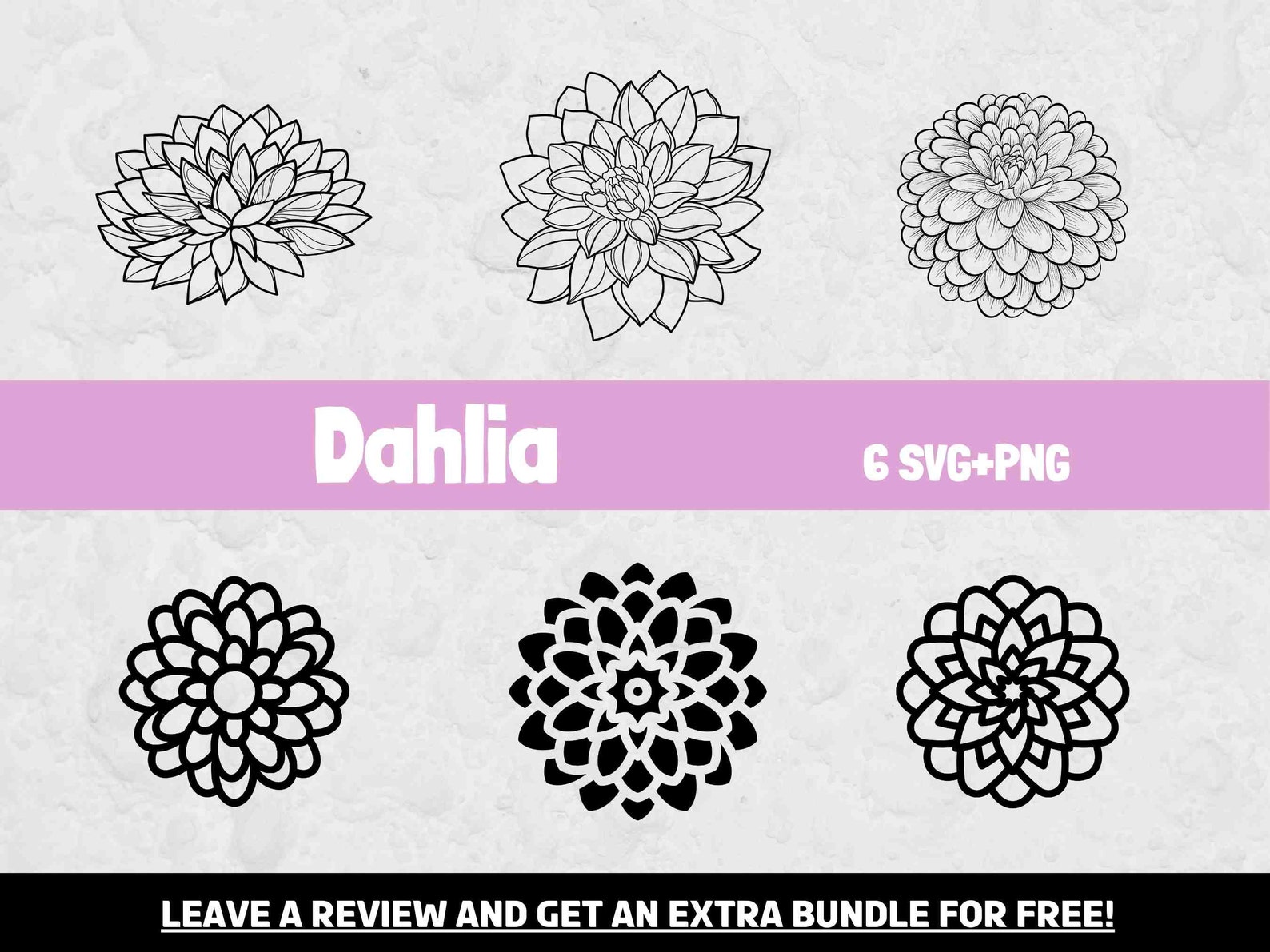 Dahlia SVG SVG Files for Cricut Flower Clipart Flowers SVG - Etsy
