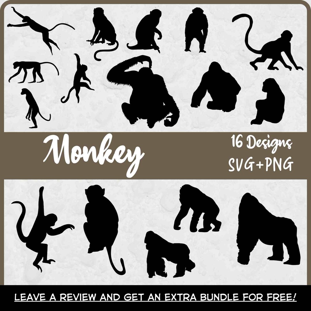 Monkey Svg Bundle, Svg Files for Cricut, Zoo Svg, Safari Svg, Monkey ...