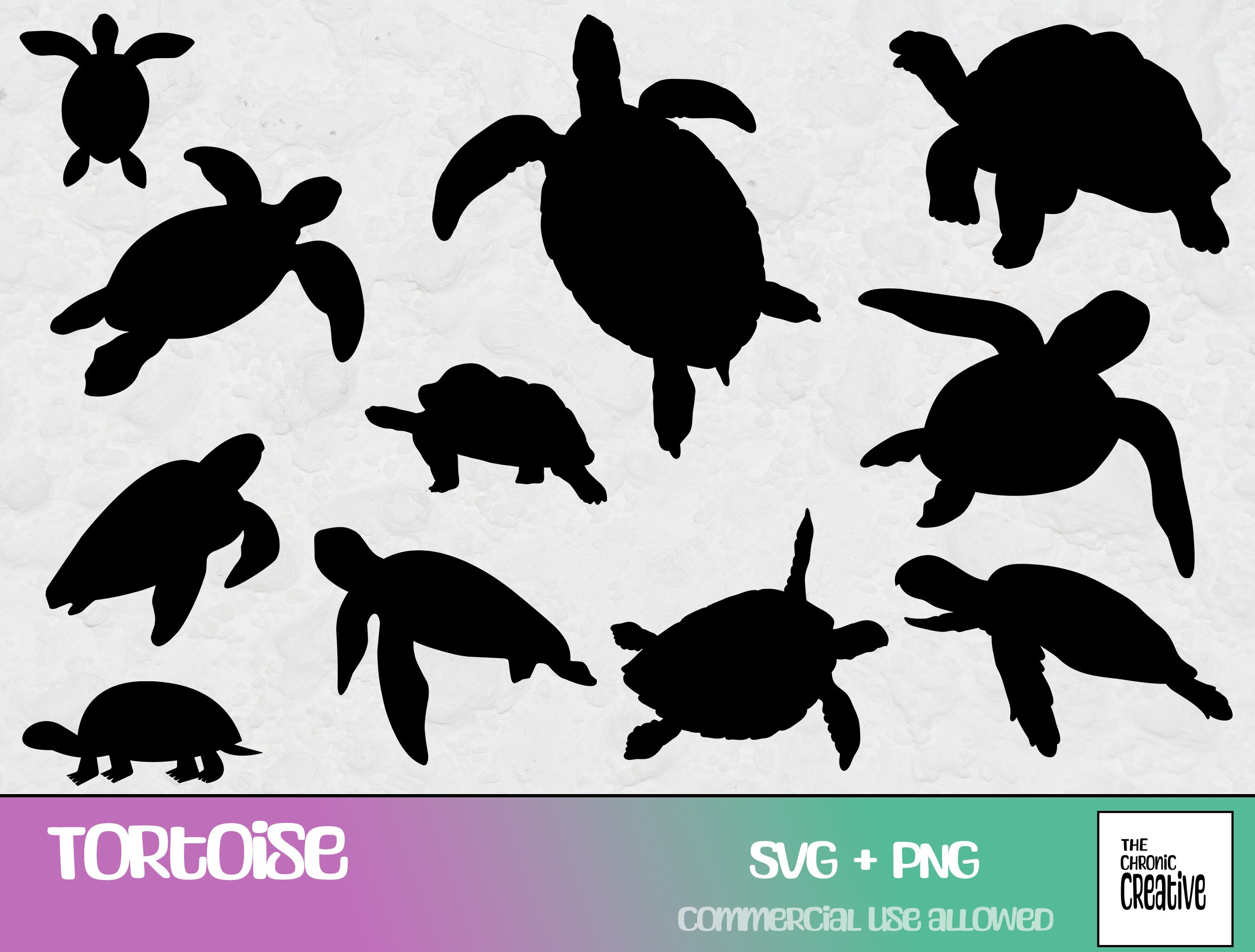 Tortoise Turtle Svg Bundle Svg Files for Cricut Commercial - Etsy Ireland