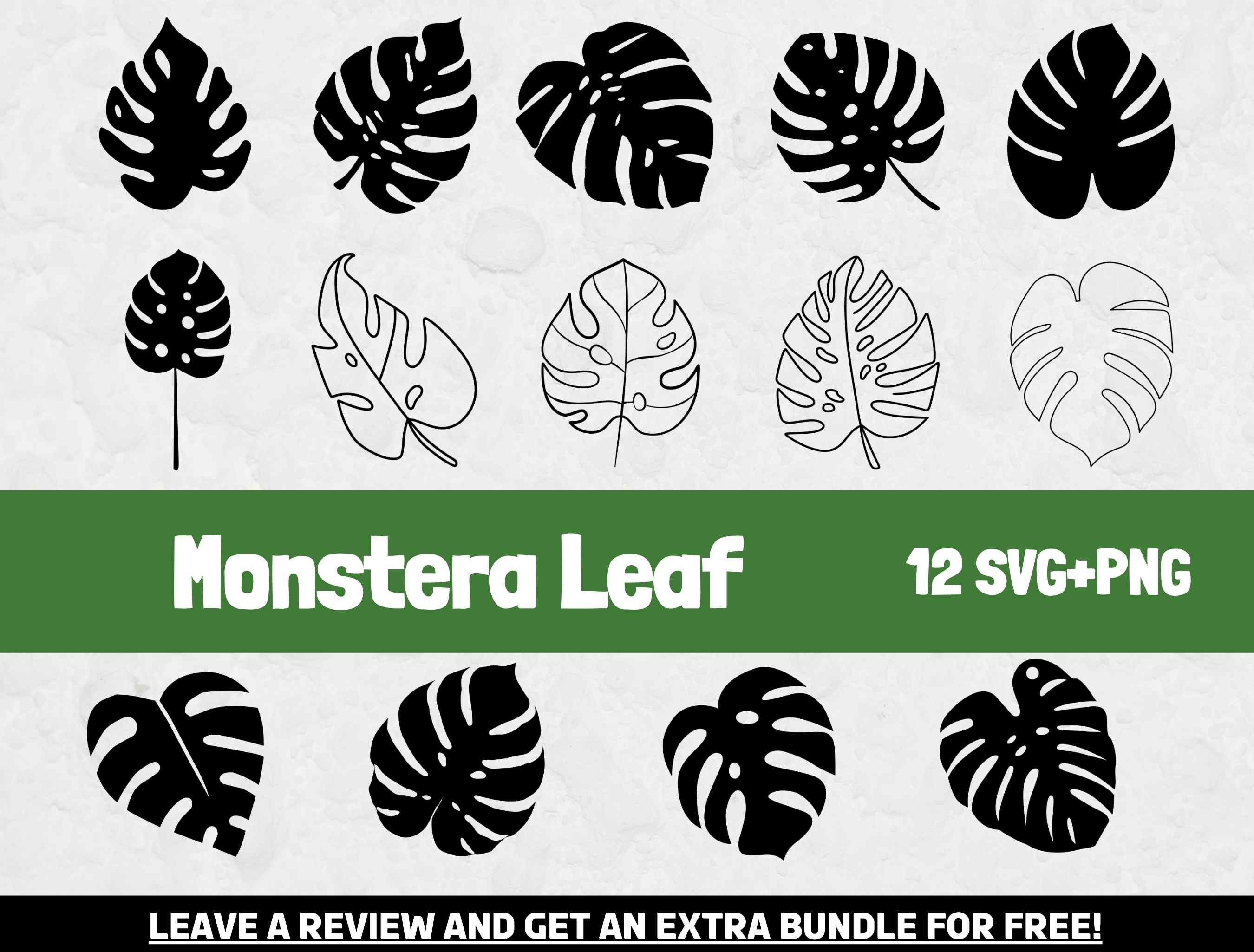 Buy Monstera Svg Bundle Svg Files for Cricut Plant Lover SVG Online in ...