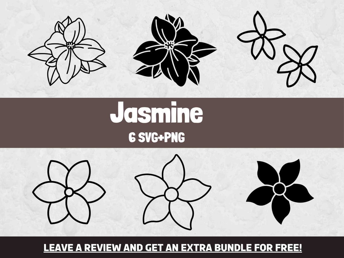 Jasmine SVG SVG Files for Cricut Flower Clipart Flowers - Etsy