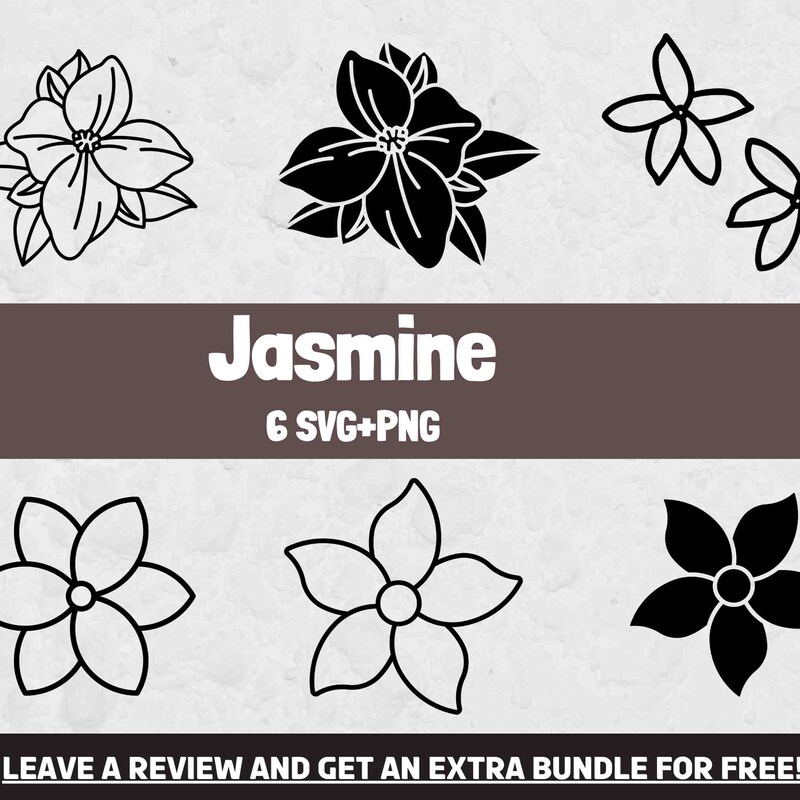 Jasmine Svg - Etsy
