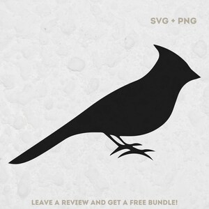 Cardinal Svg, Svg Files for Cricut, Bird Svg, Bird Clipart, Cardinal ...
