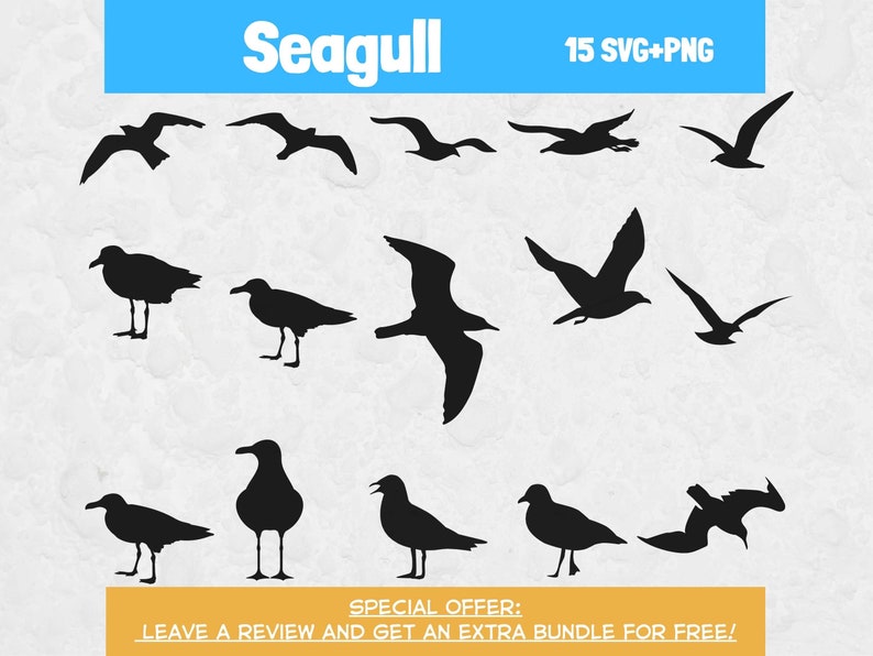 Seagull Svg Bundle SVG Files for Cricut Bird Clipart Bird - Etsy Australia
