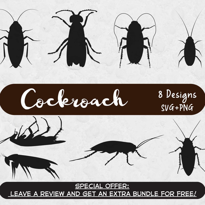 Cockroach - Etsy
