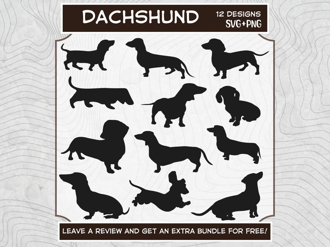 Dachshund Svg, SVG Files for Cricut, Dachshund Png, Dachshund Clipart ...