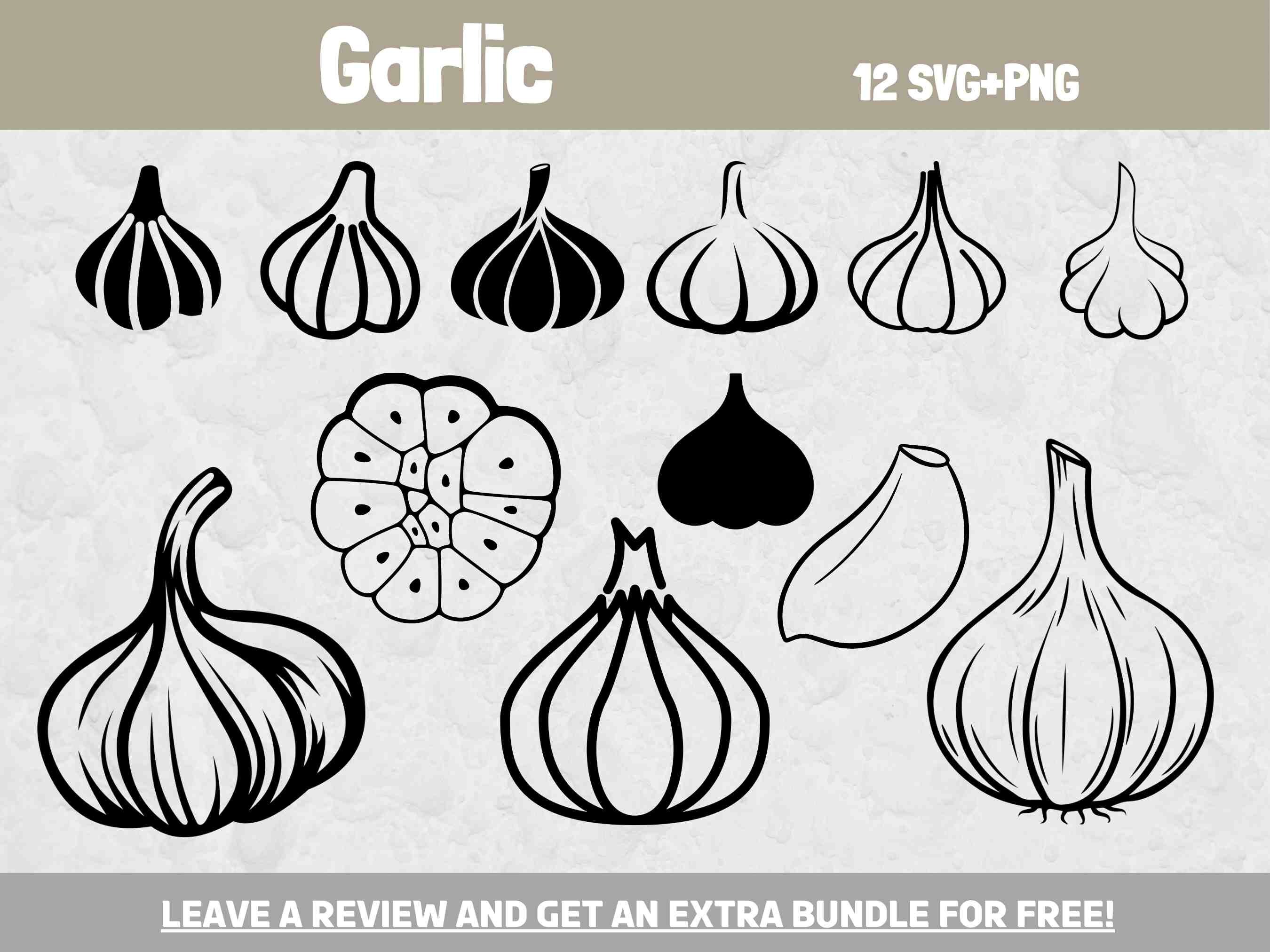 Garlic SVG Bundle SVG Files for Cricut Garlic Clipart - Etsy