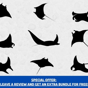 Ray Fish Svg, SVG Files for Cricut, Stingray SVG Bundle, Fish Svg, Sea ...