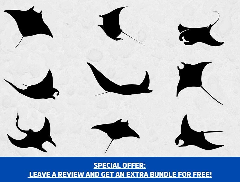 Stingray SVG Bundle, Manta Ray SVG, Stingray Clipart, Sea Life SVG ...
