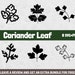 Coriander SVG Bundle, SVG Files for Cricut, Plant Svg, Herb SVG ...