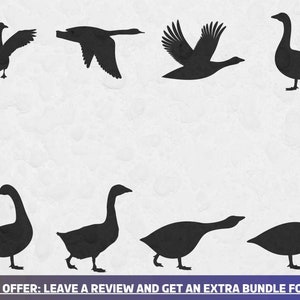 Goose Svg Cut Files, Svg Files for Cricut, Goose Silhouette, Goose ...