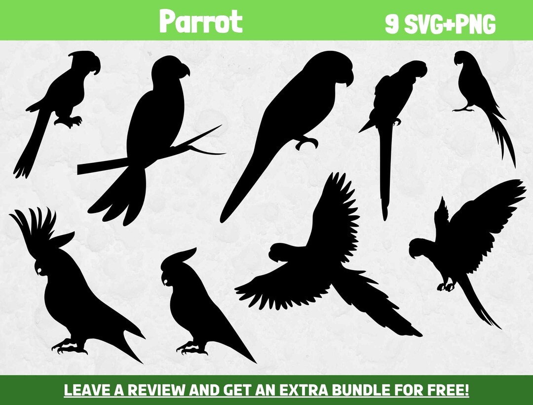 Parrot Svg Bundle Parrot Cut Files Parrot Vectors Bird - Etsy