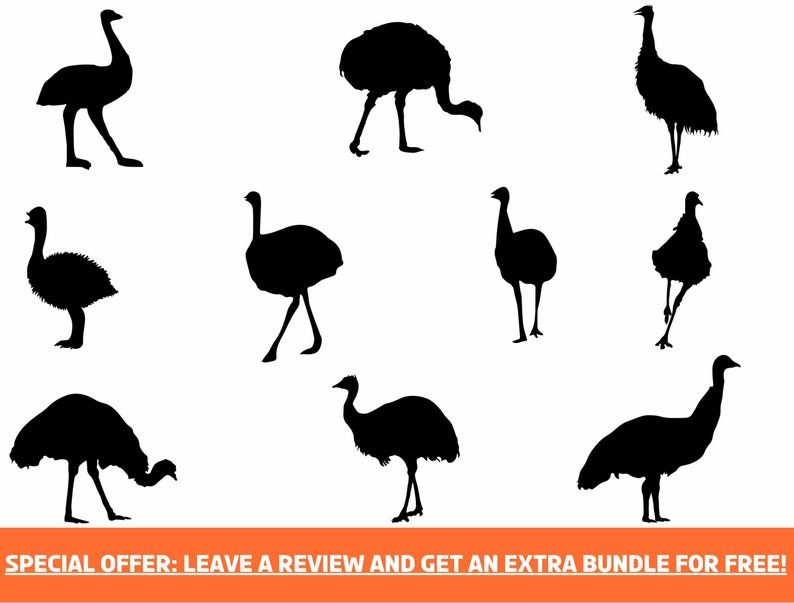Emu Svg Cut Files Emu Vectors Svg Files for Cricut Zoo Svg - Etsy