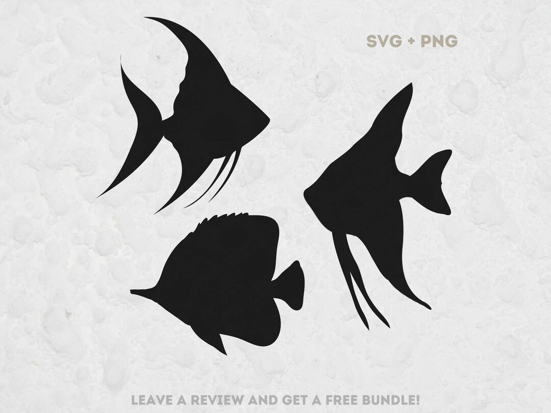 Angelfish Svg Bundle, Svg Files for Cricut, Fish Svg, Aquarium Svg ...
