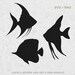 Angelfish Svg Bundle, Svg Files for Cricut, Fish Svg, Aquarium Svg ...