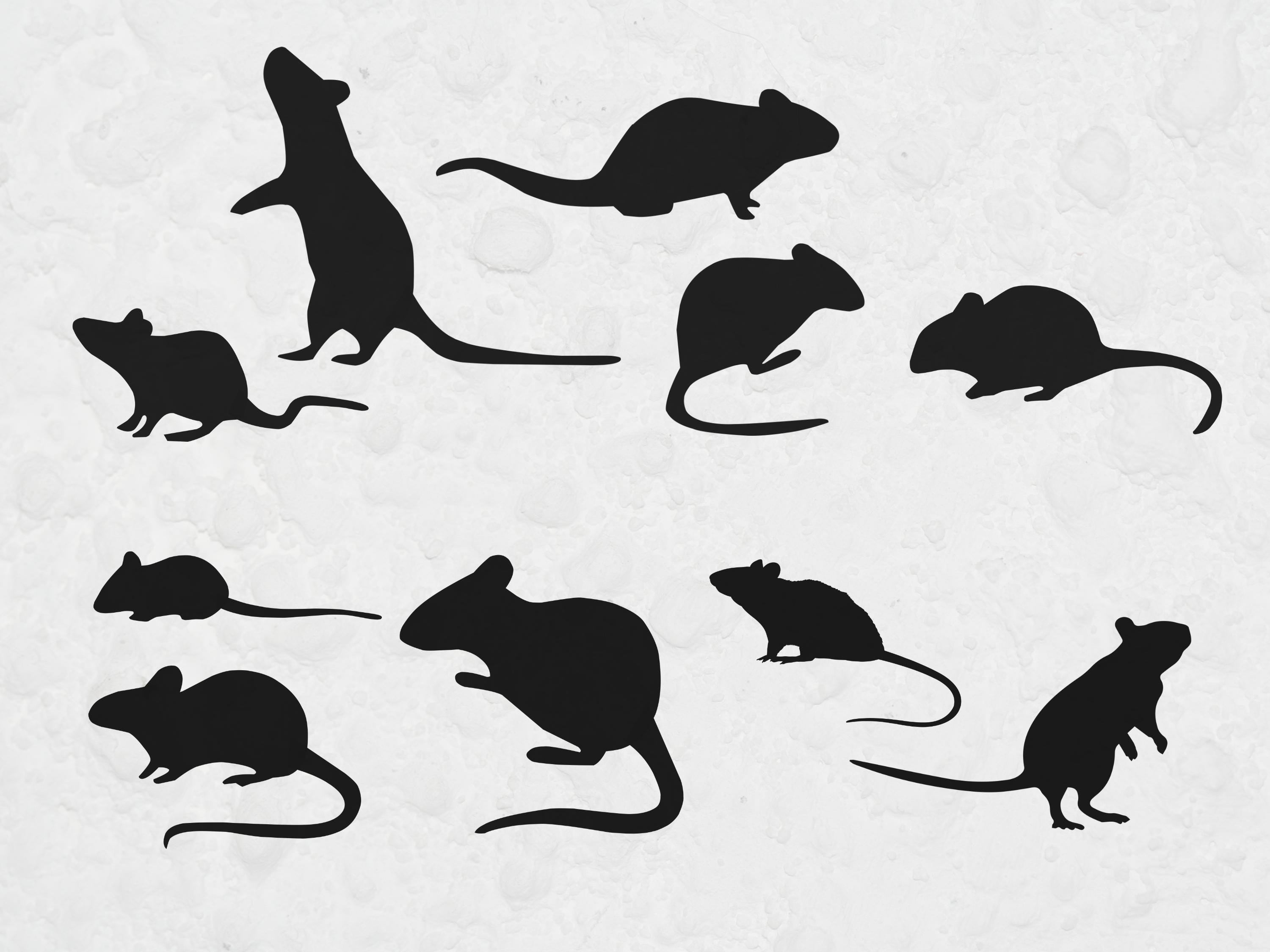 Mouse and Rat SVG Bundle, Rat Silhouette SVG, Mouse Cut File, Rodent ...