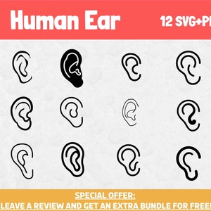Human Ear Svg, Svg Files for Cricut, Anatomy SVG, Medicine Clipart, Ear ...