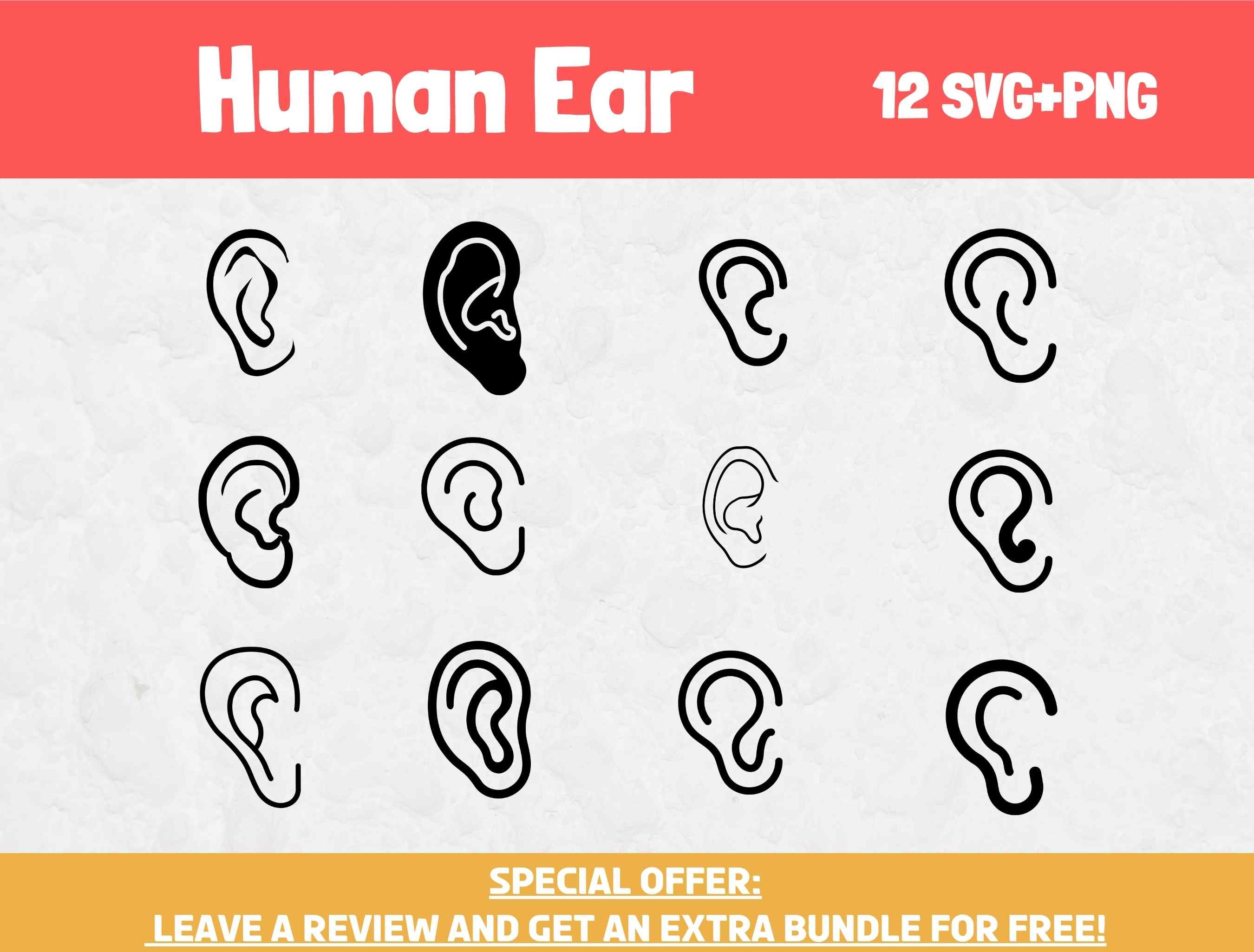 Free Clipart Of An Ear