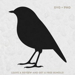 Robin Bird Svg, Svg Files for Cricut, Bird Png, Bird Clipart, Bird ...