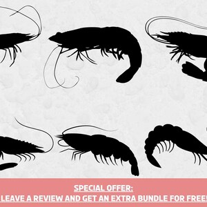 Shrimp SVG, SVG Files for Cricut, Shrimp Silhouette, Prawn Svg, Seafood ...