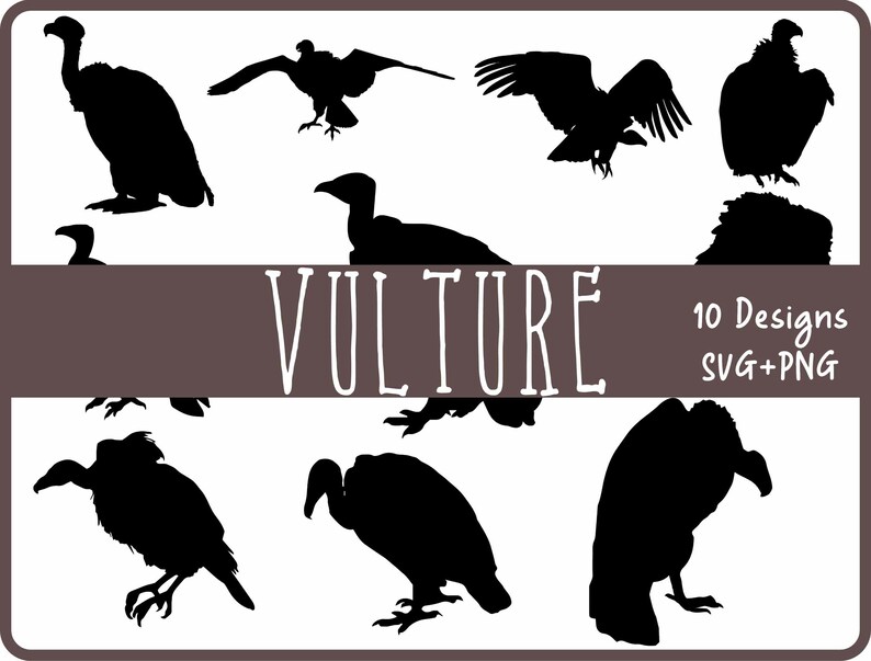 Vulture Svg Bundle Svg Files for Cricut Animal Svg Birds of - Etsy
