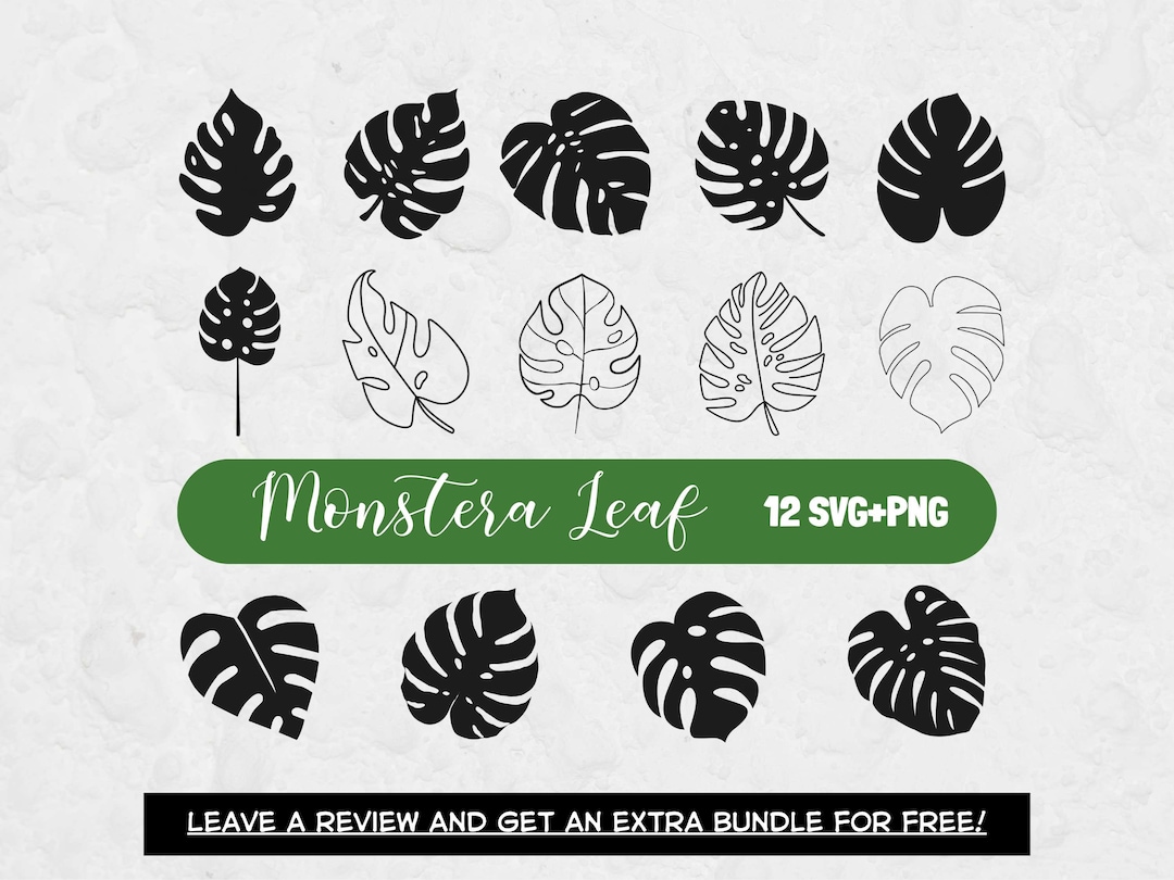 Monstera Svg Bundle, Svg Files for Cricut, Leaf SVG, Plant Svg ...