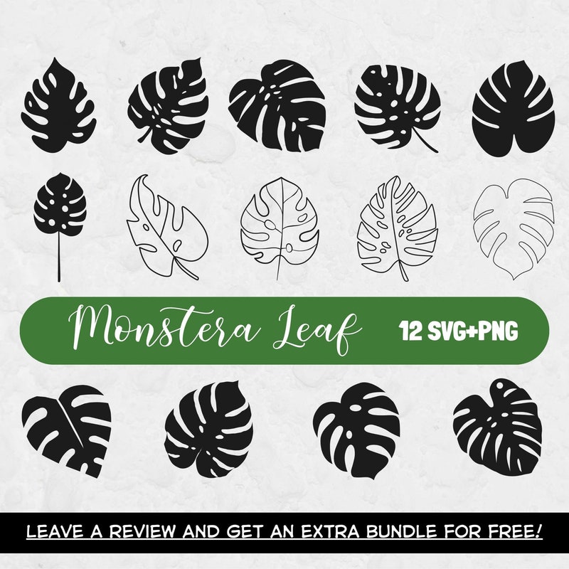 Monstera Party - Etsy