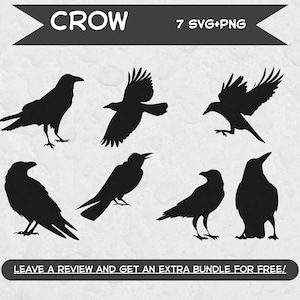 Crow Svg Bundle, SVG Files for Cricut, Raven SVG, Crow Clipart, Crow ...