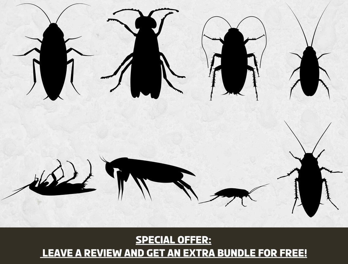 Cockroach Svg, Svg Files for Cricut, Insect Svg, Roach Svg, Silhouette ...
